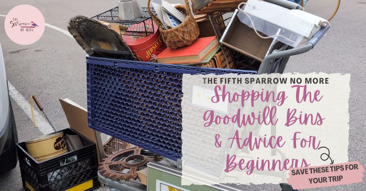 Shopping At The Goodwill Bins And Advice For Beginners