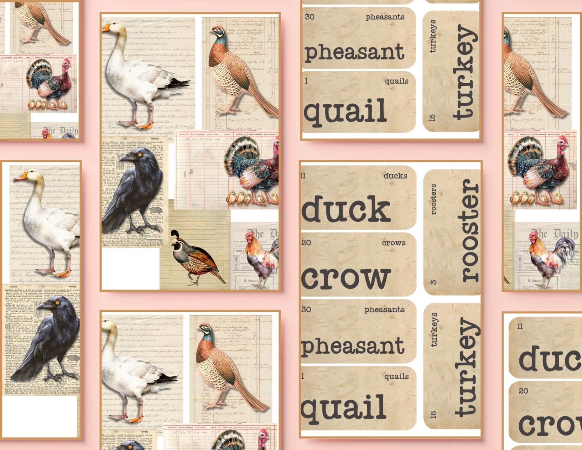 Printable Fall Birds Collage And Vintage Flash Cards - The Fifth ...
